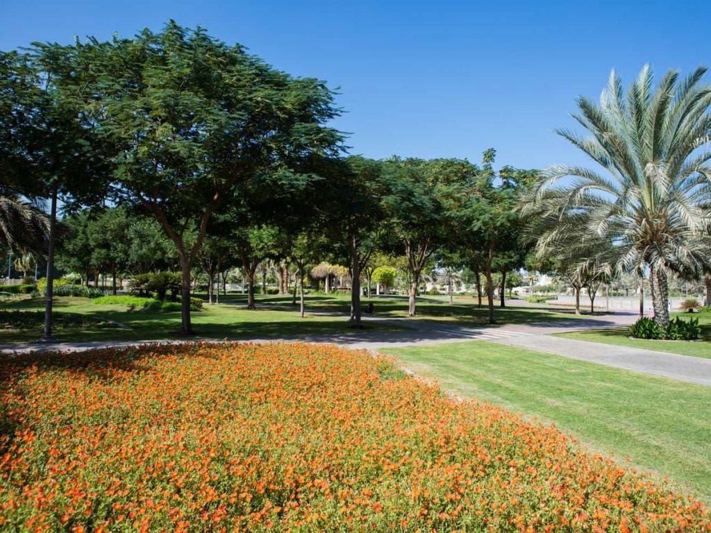 RDK Residential Complex by Rashed Bin Darwish Al Ketbi in Barsha ...