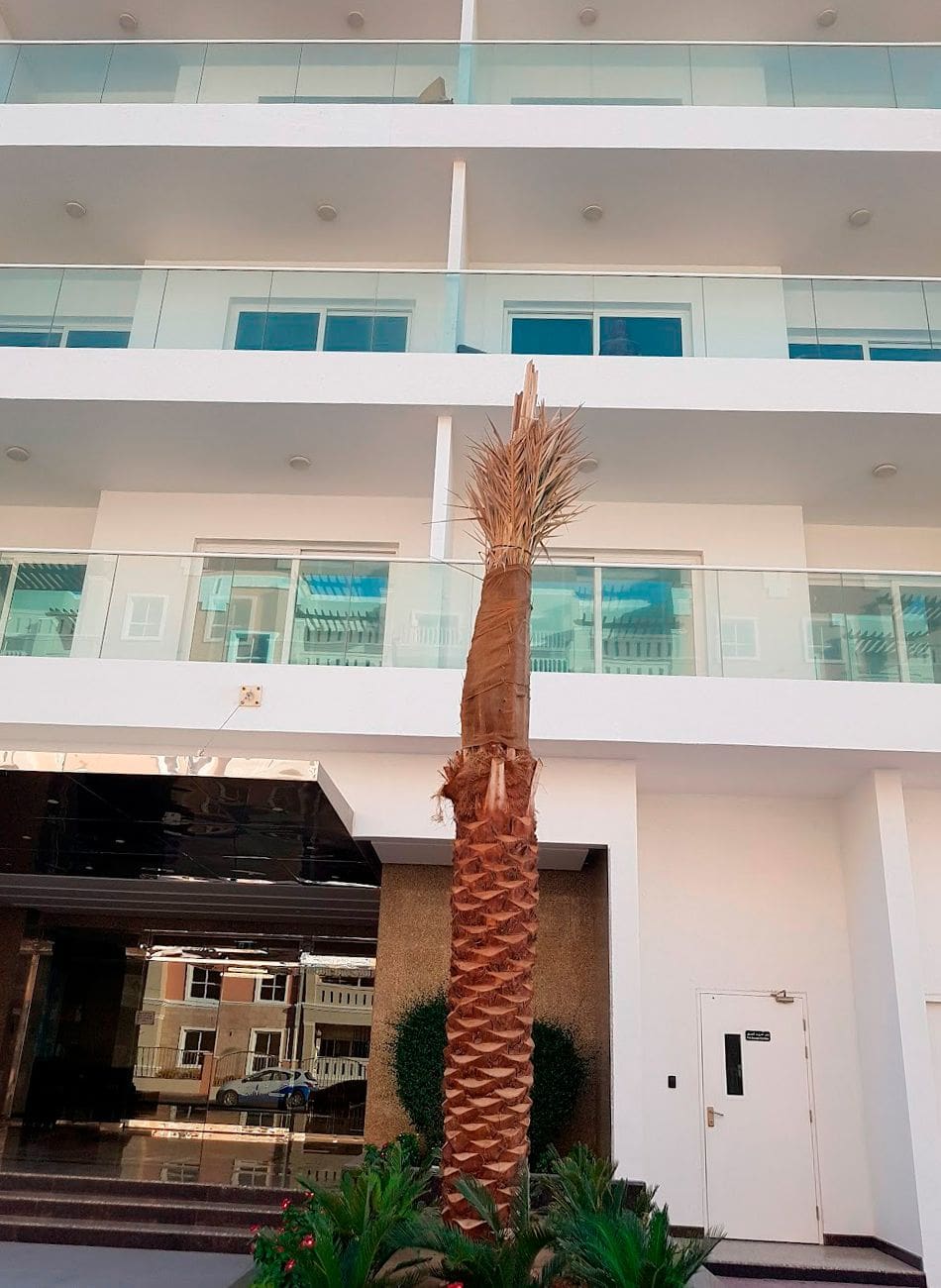 Saleh Bin Lahej Building by Saleh Bin Lahej Real Estate in Dubai ...