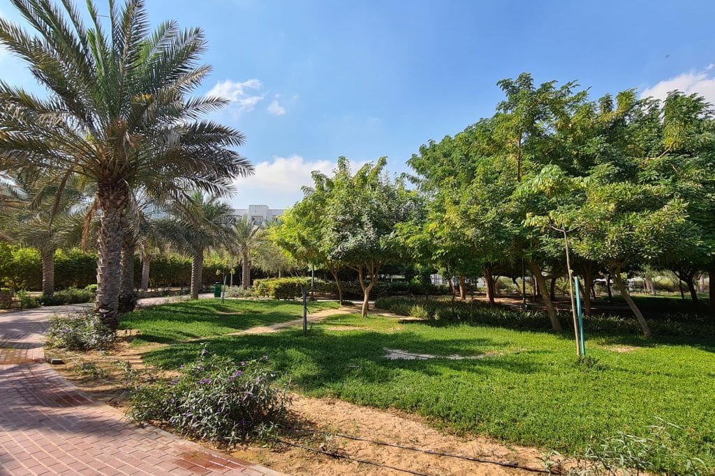 Dezire Residences by Bluechip Developments in JVC District 17, Jumeirah ...