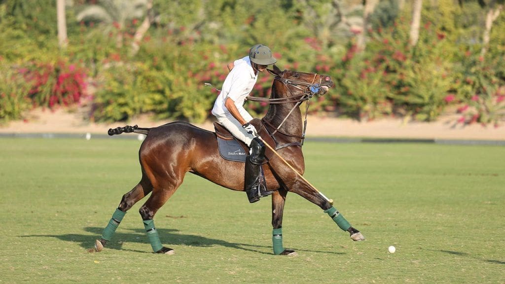 Sharaf Building by Private Developer in International City, Dubai ...